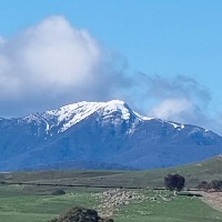 MANSFIELD PARISH: : The Baptism of The Lord, 11th January 2026